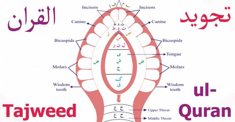Learn Tajweed online – Learn Quran Online BD
